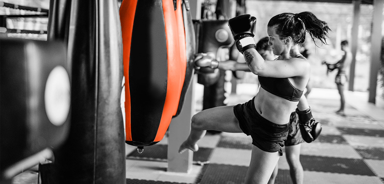 Fighter Fitness - ELITEMENTOR